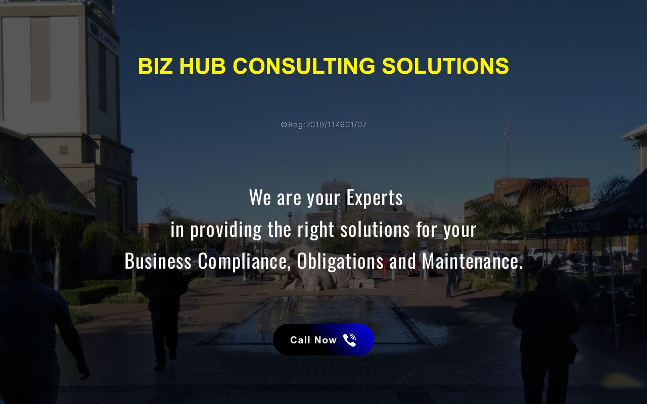 Biz Hub